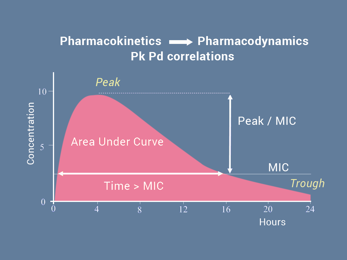 MedQualis - Clinical Contract Research Organization